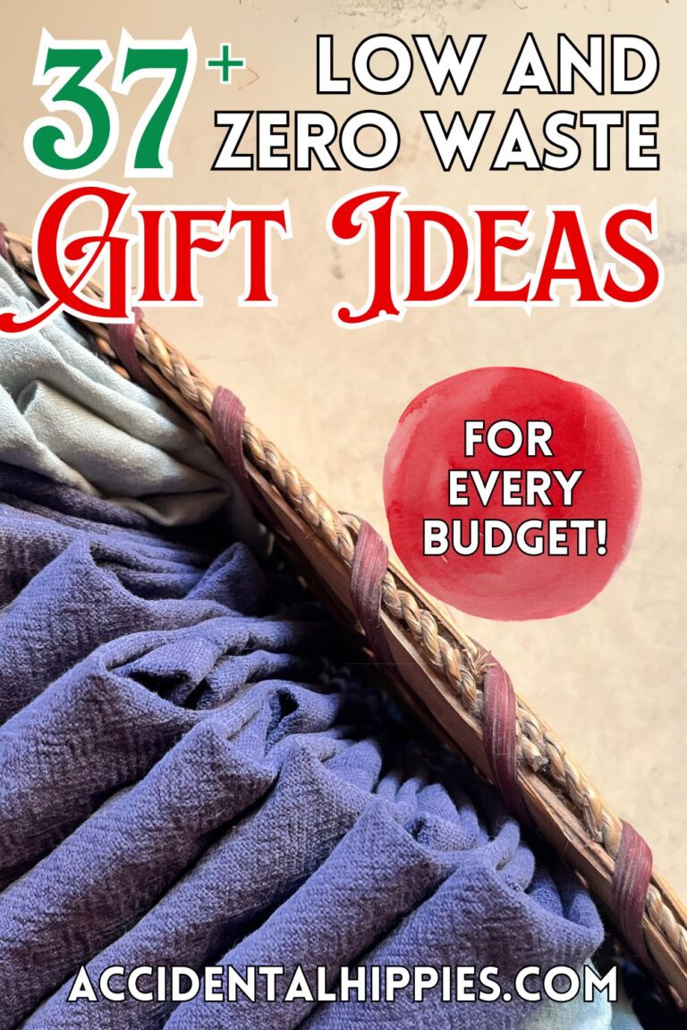 37+ Low and Zero-Waste Gift Ideas For Every Budget - Accidental Hippies